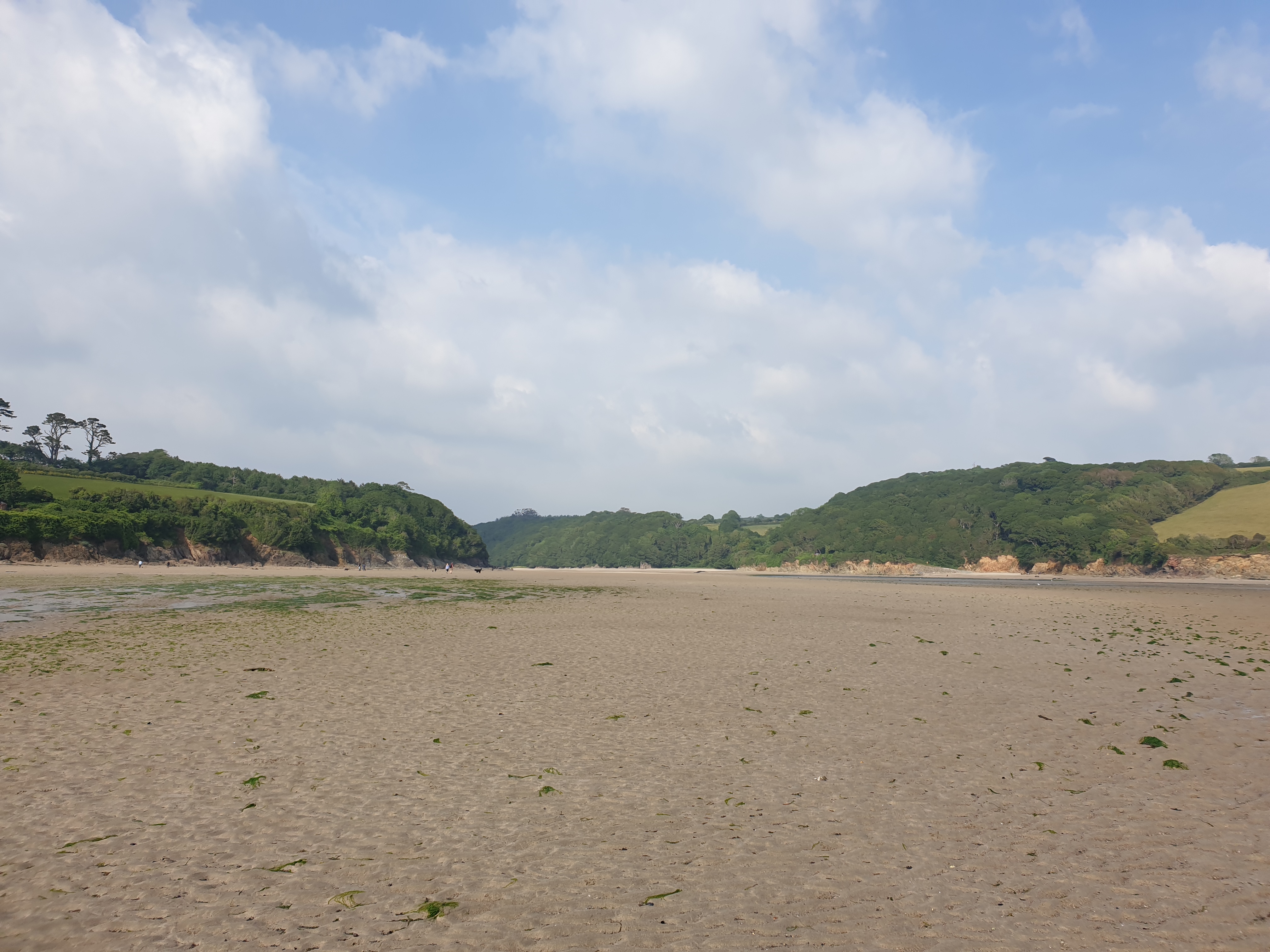 Mothecombe & Coastguards Beach – Pawsome Adventures